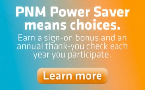 Home - PNM Power Saver