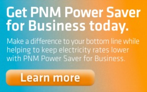 Home - PNM Power Saver